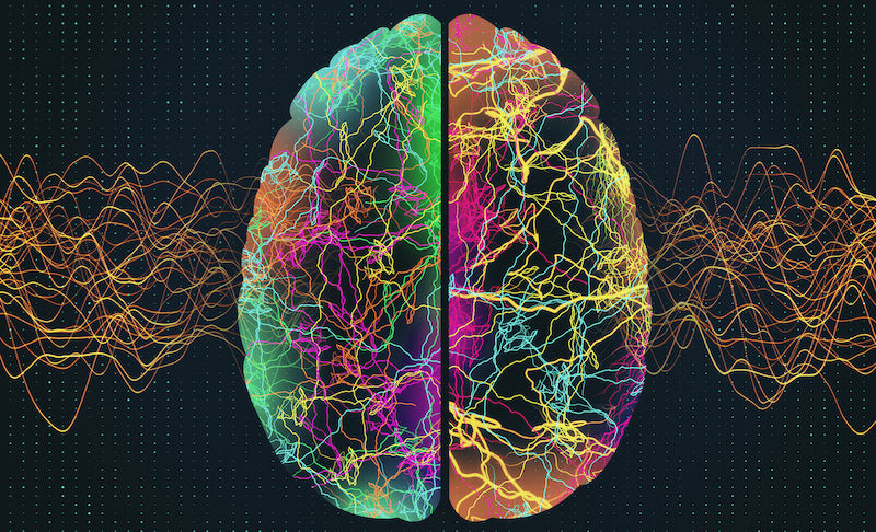 Epilepsy | Shaping Our Future – The Merritt Movement
